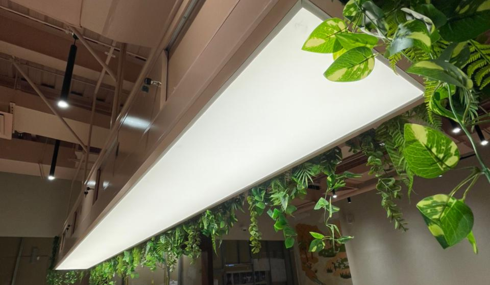 Kinds Kone Cafe - Stretch Ceiling Masters